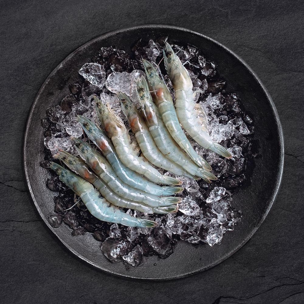 Jumbo size King Prawn (1Kg) - Harvest date: March 7th 2025 (22g plus ...